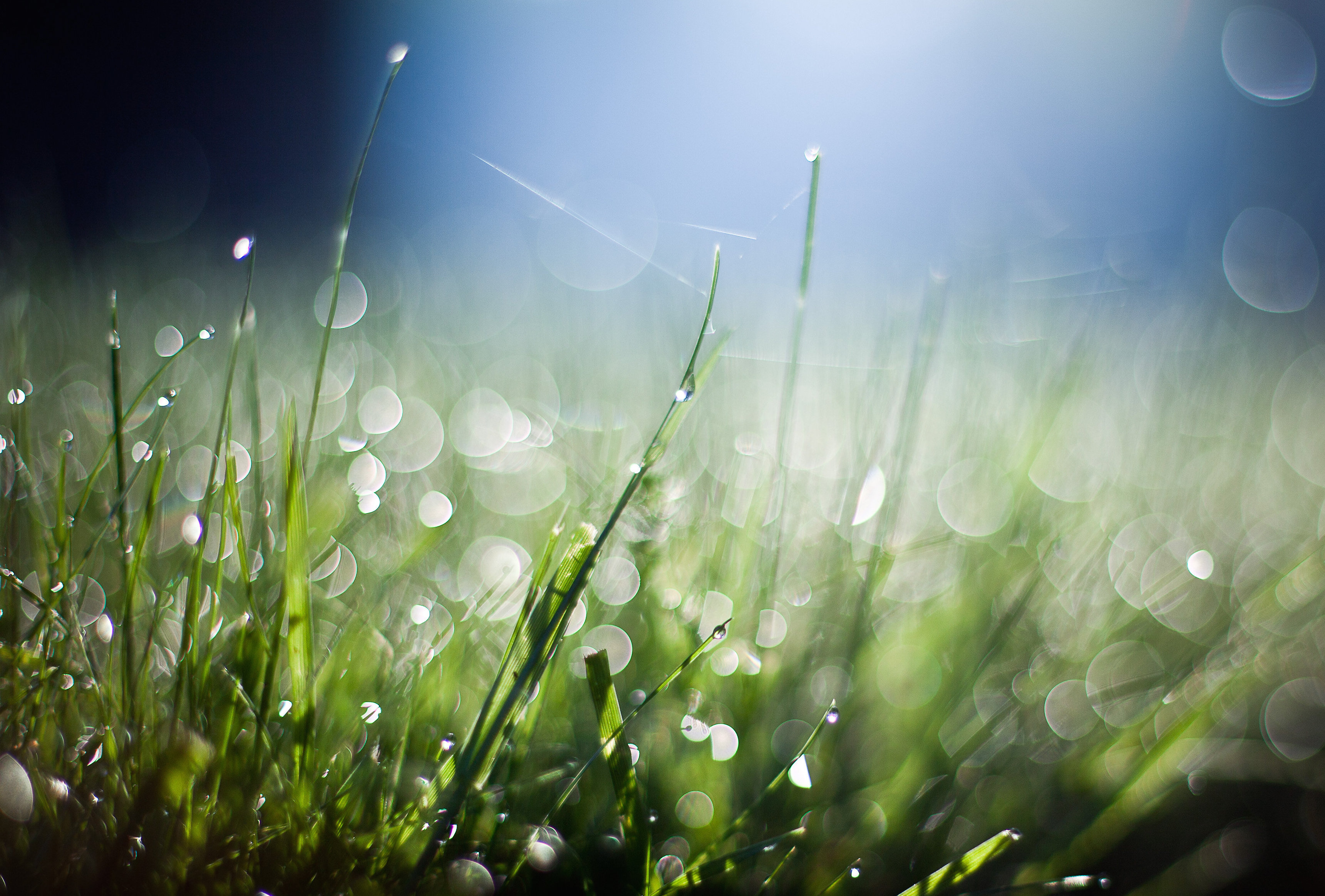 HOW IT FEELS TO SAY GOODBYE, PART 3 – THE TEARS – Consider Grace